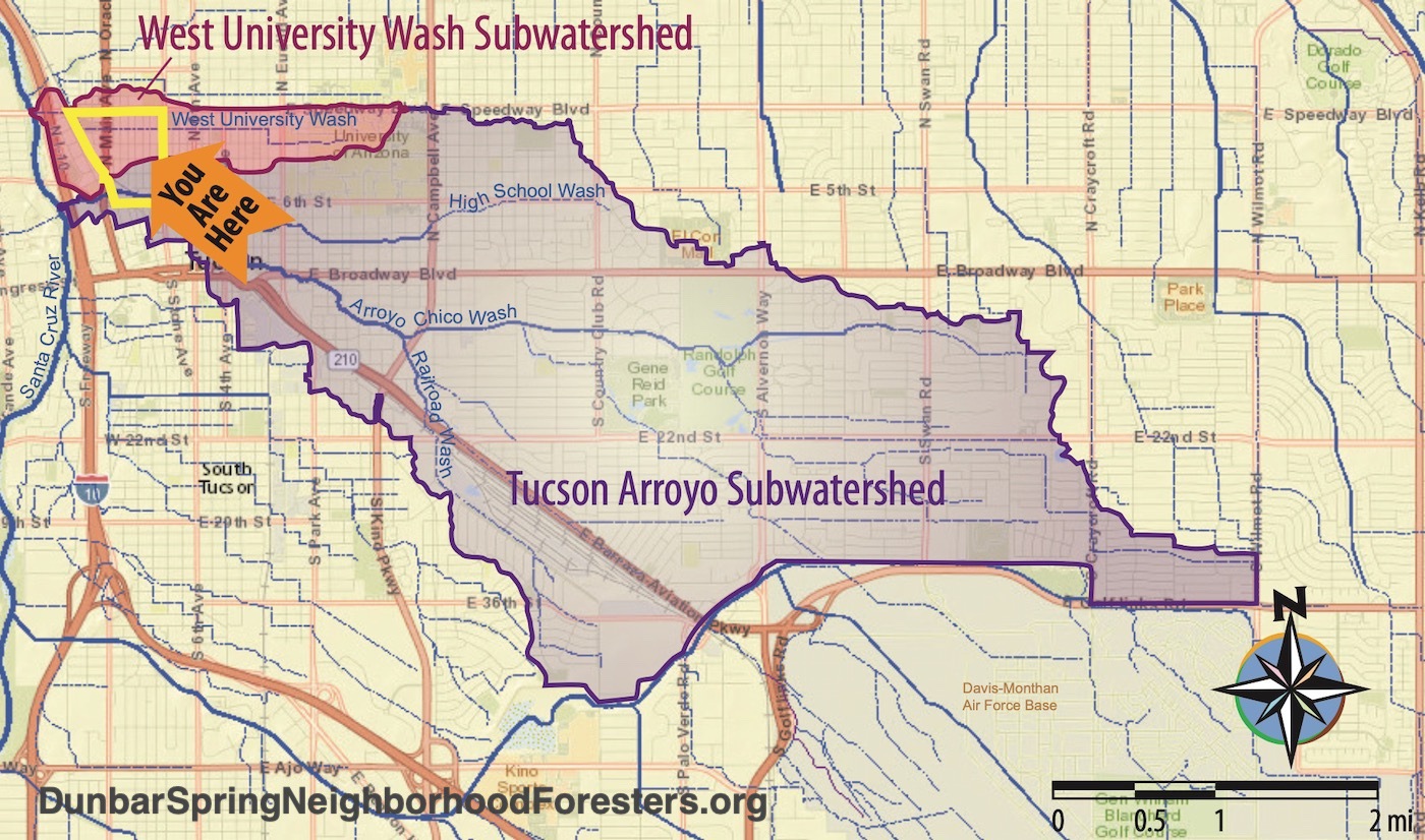 Annual rain & native food forest plantings another success in 2023 ...