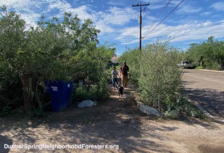 Before & after photos of green infrastructure in Dunbar/Spring – Dunbar ...