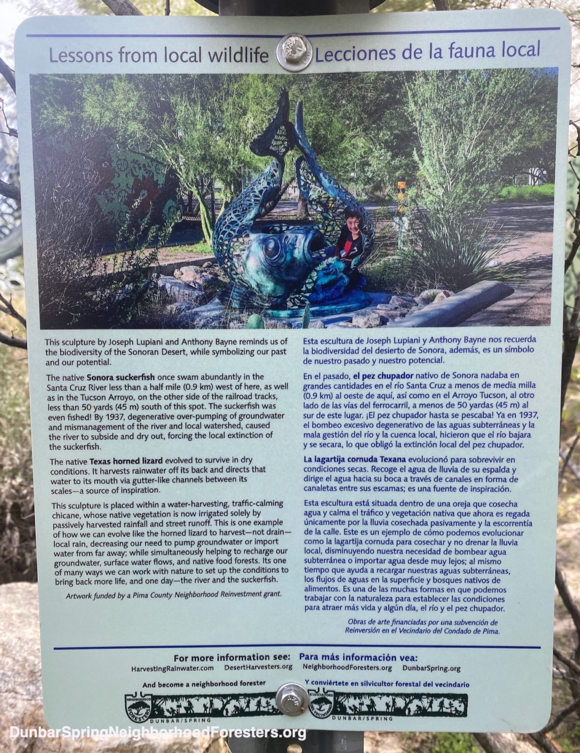 Before & after photos of green infrastructure in Dunbar/Spring – Dunbar ...