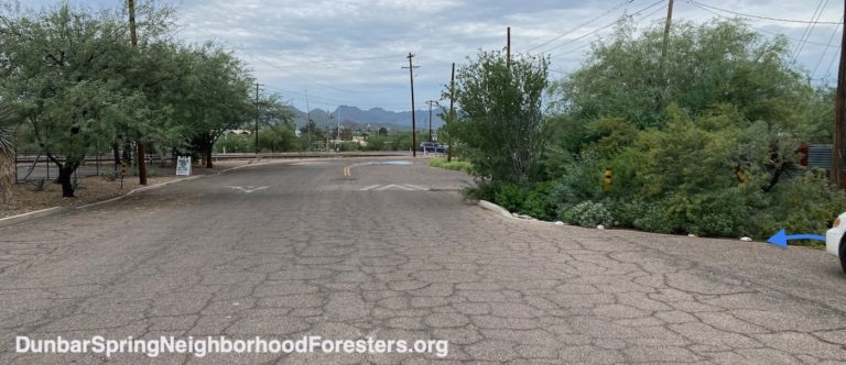 Before & after photos of green infrastructure in Dunbar/Spring – Dunbar ...