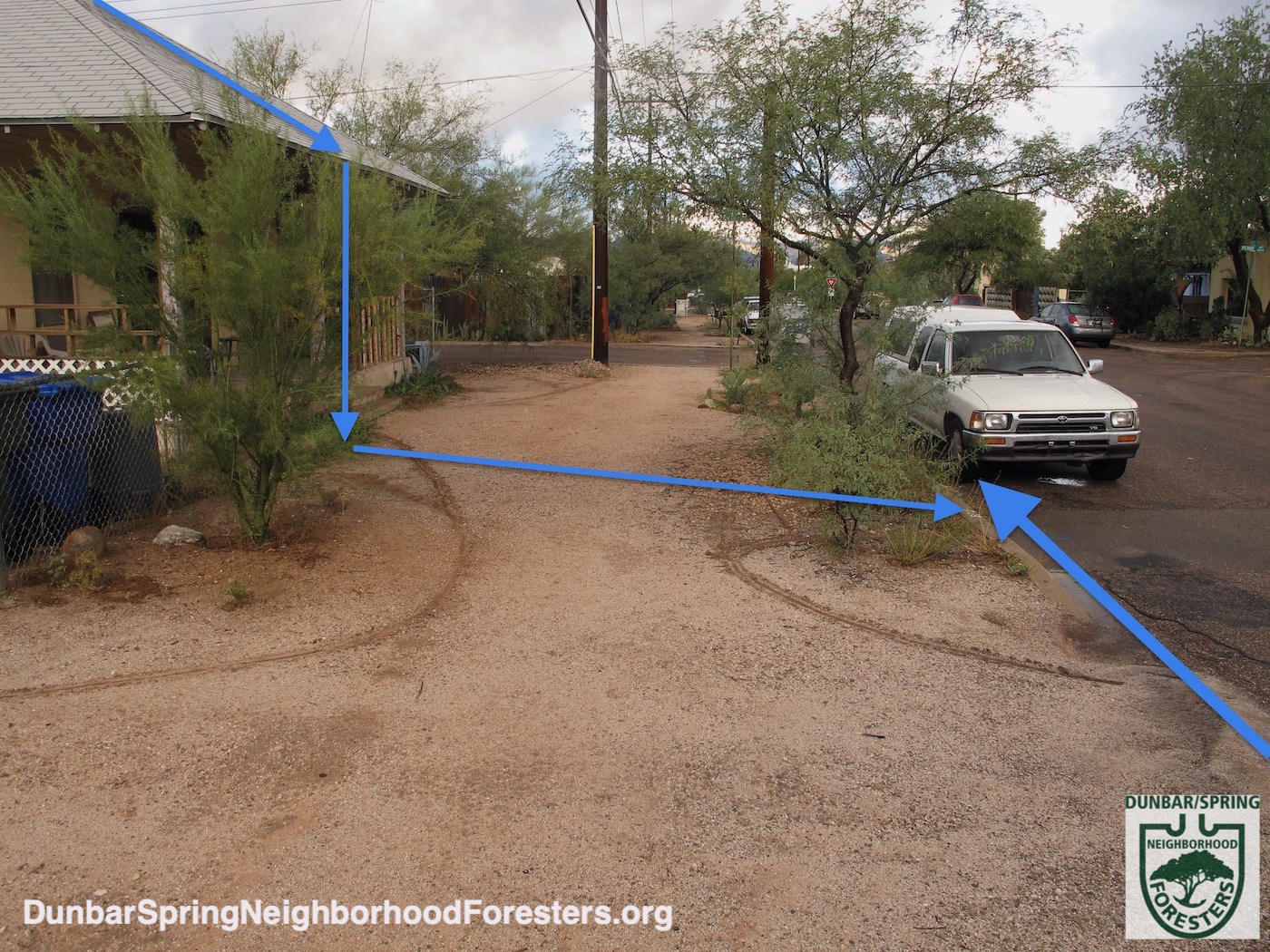 Dunbar/Spring Neighborhood Foresters – Dunbar/Spring Neighborhood Foresters