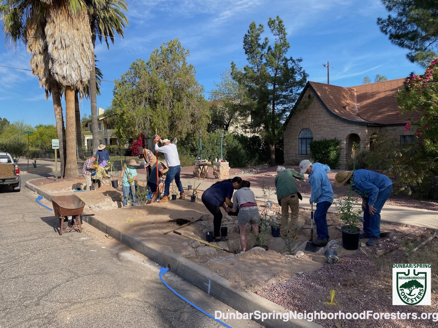Annual rain & native food forest plantings another success in 2023 ...