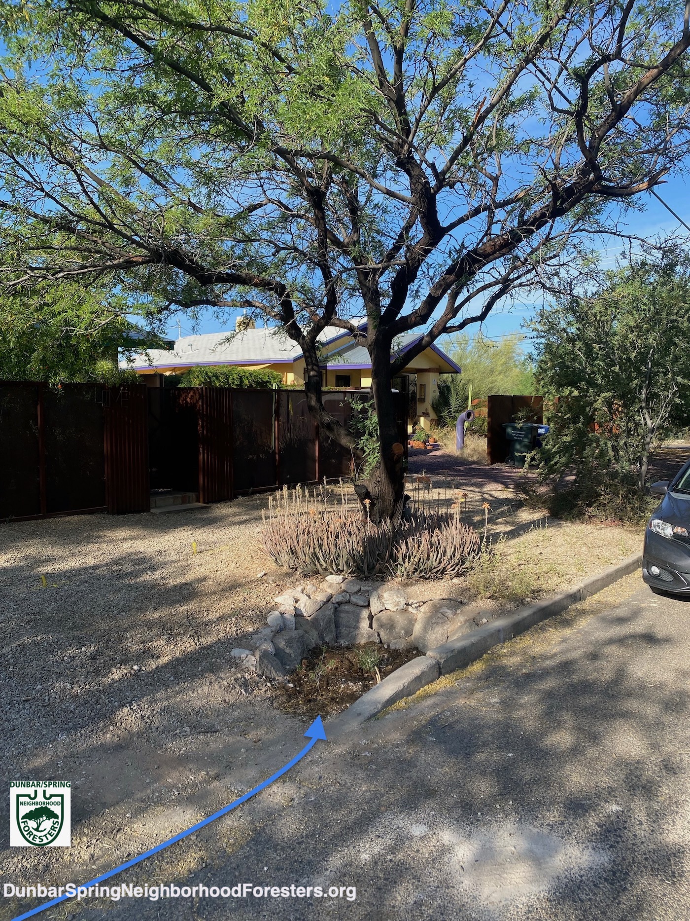 Annual rain & native food forest plantings another success in 2023 ...