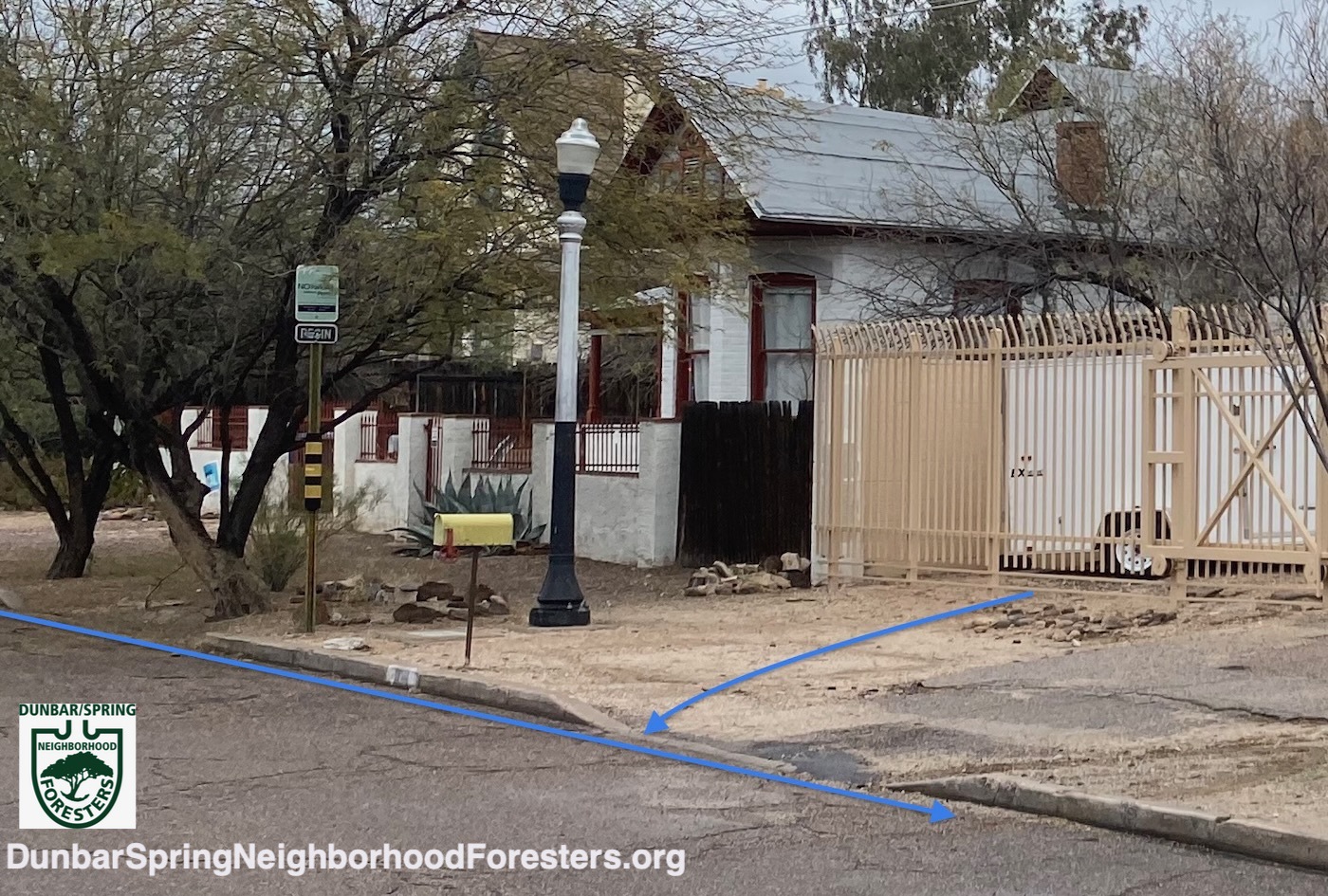 Annual rain & native food forest plantings another success in 2023 ...