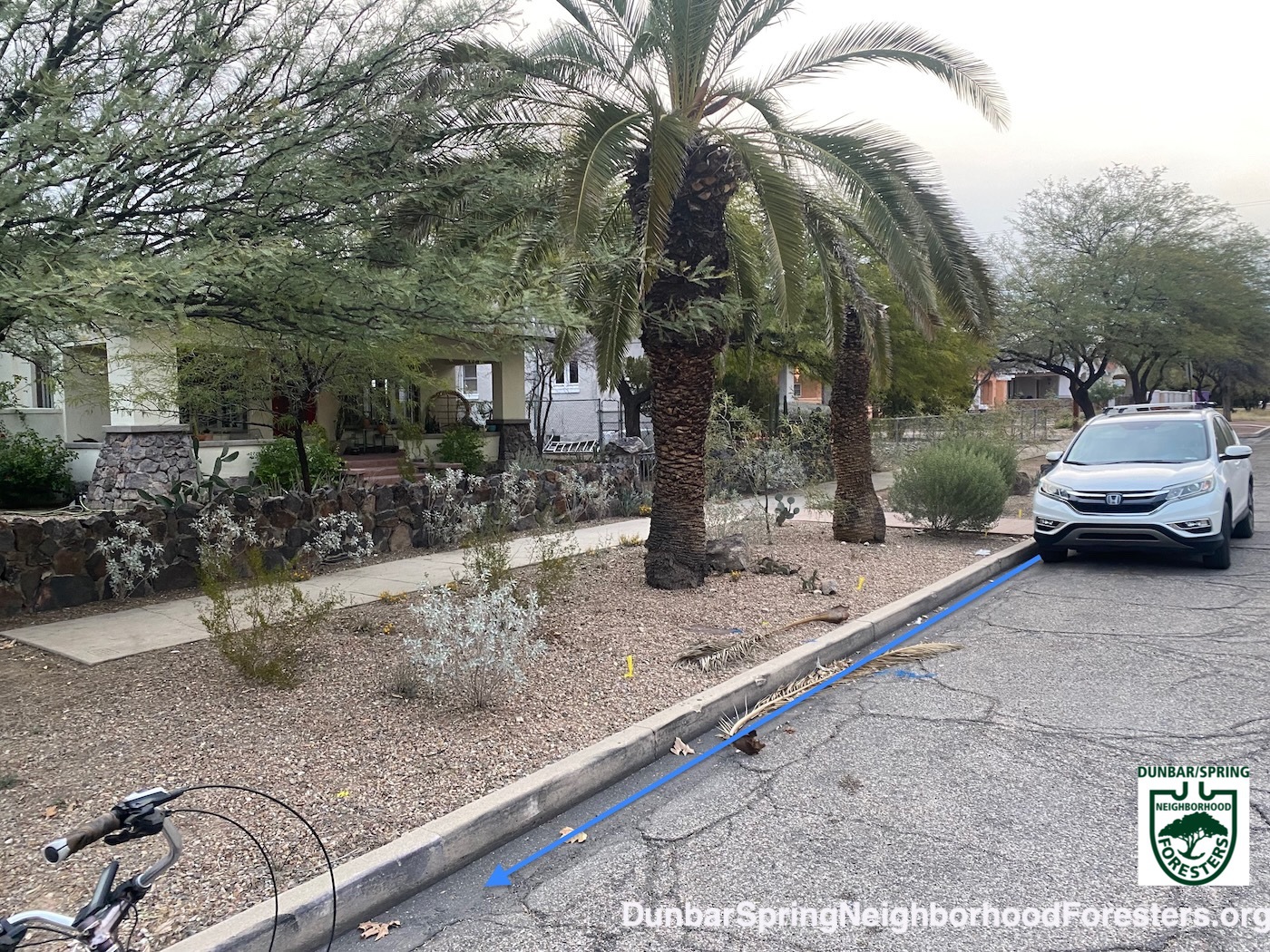 Annual rain & native food forest plantings another success in 2023 ...