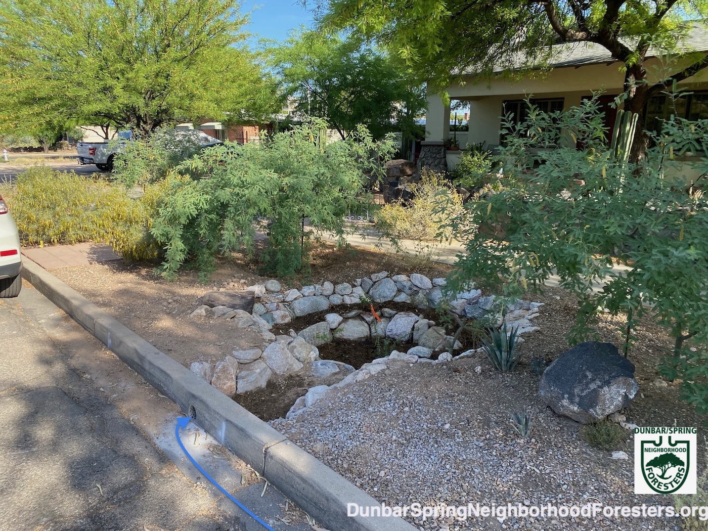 Annual rain & native food forest plantings another success in 2023 ...