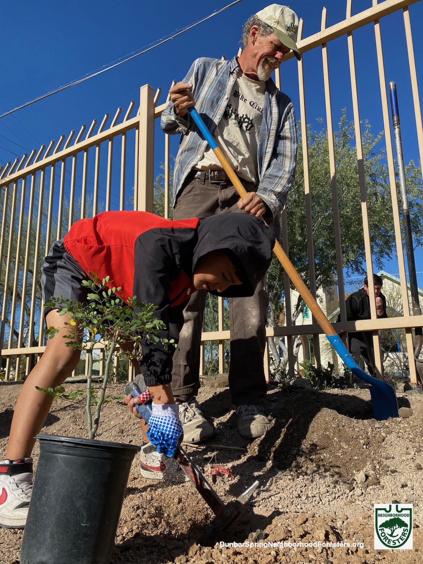 Annual rain & native food forest plantings another success in 2024 ...